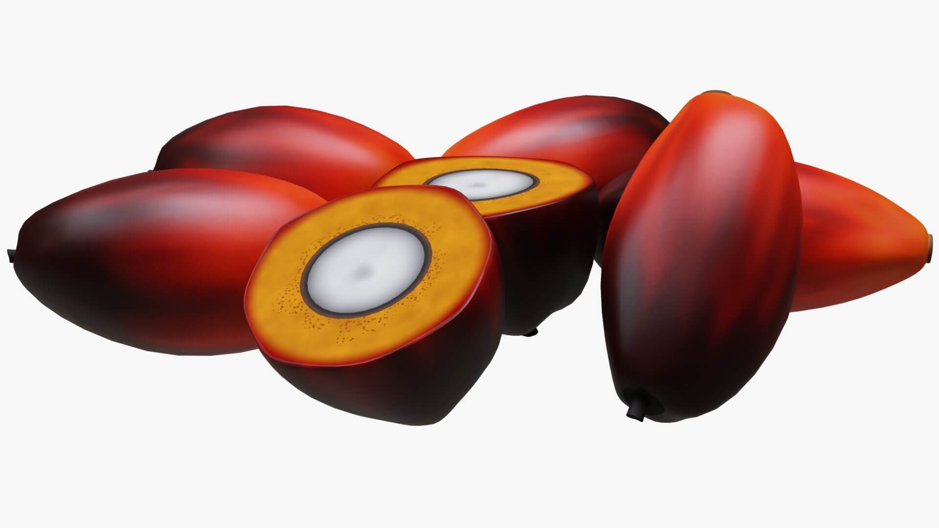 Oil Palm Fruits - 3D Model by Blenduffo