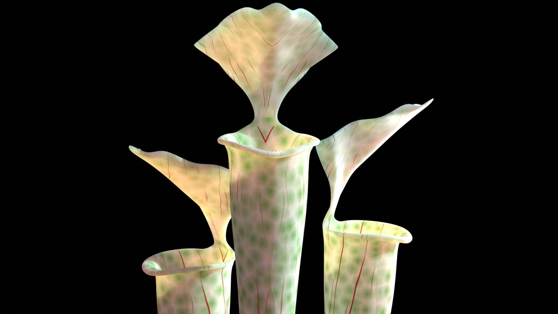 Pitcher Plant - 3D Model by Blenduffo