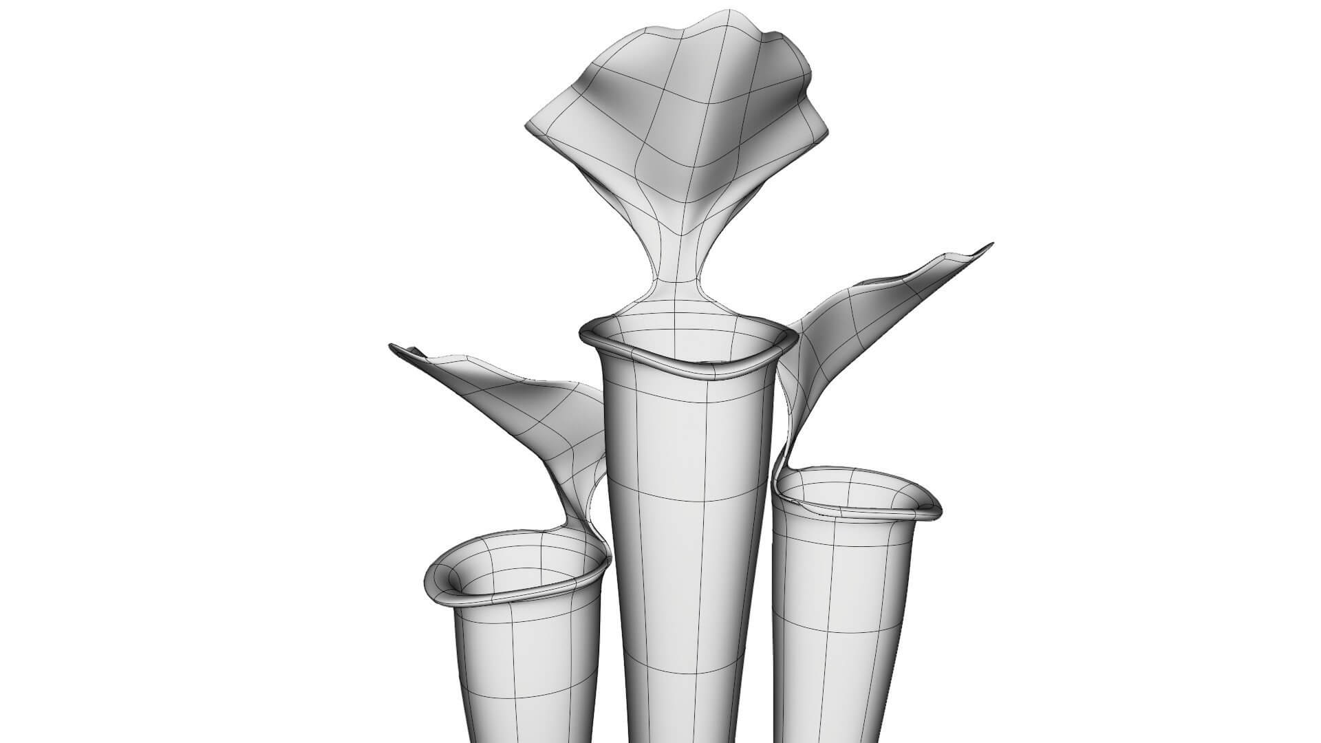 Pitcher Plant - 3D Model by Blenduffo