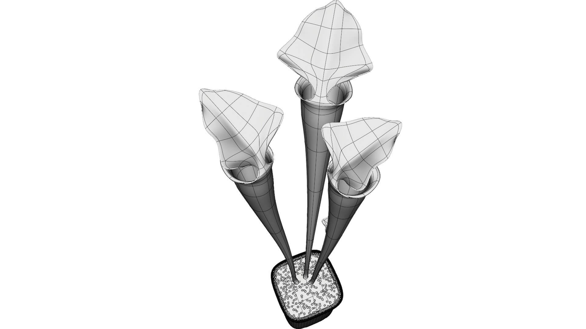 Pitcher Plant - 3D Model by Blenduffo