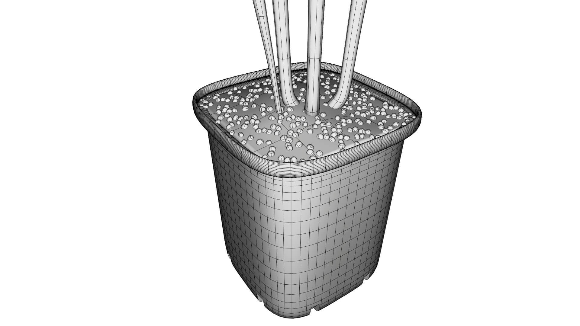 Pitcher Plant - 3D Model by Blenduffo