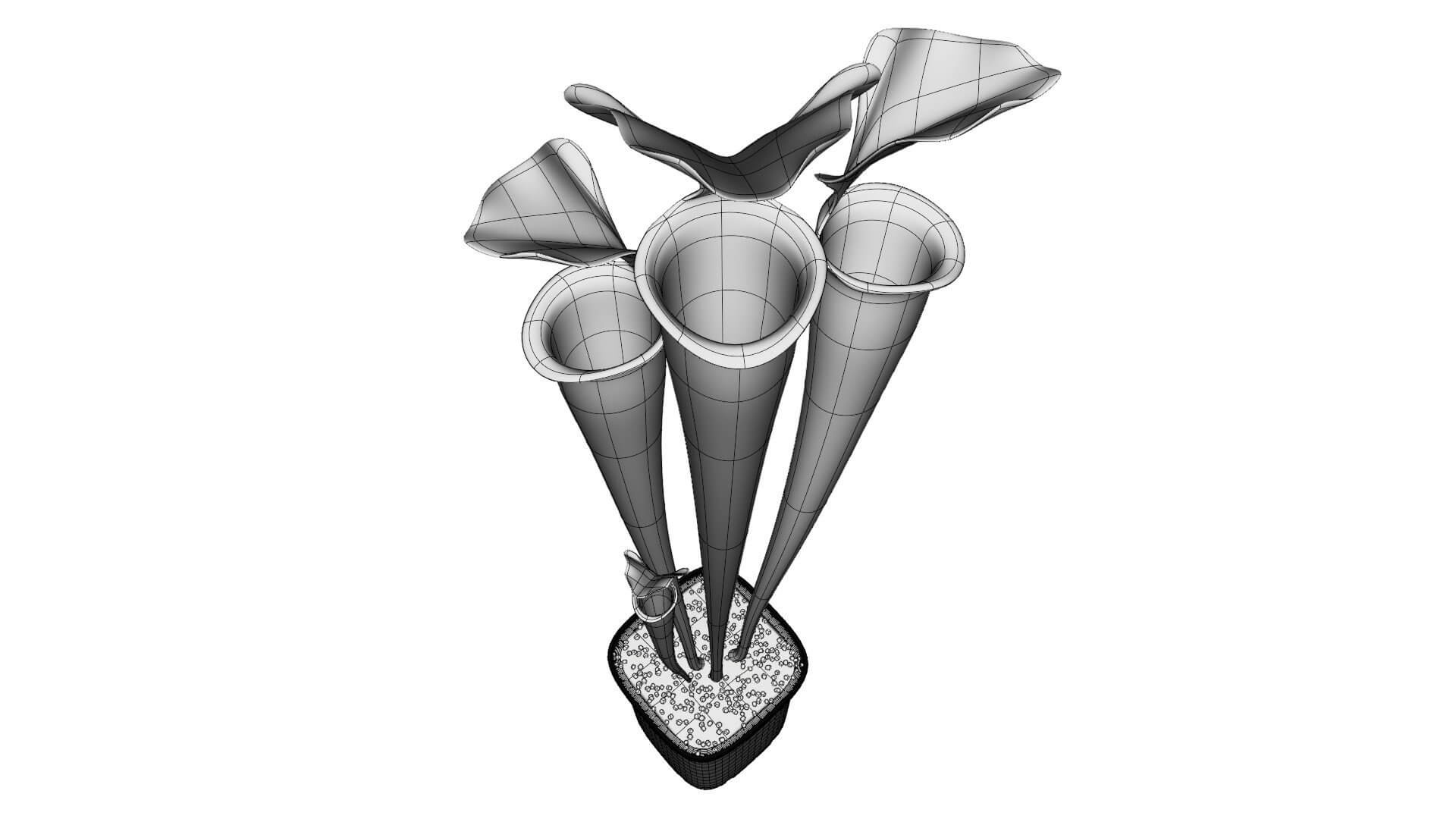 Pitcher Plant - 3D Model by Blenduffo