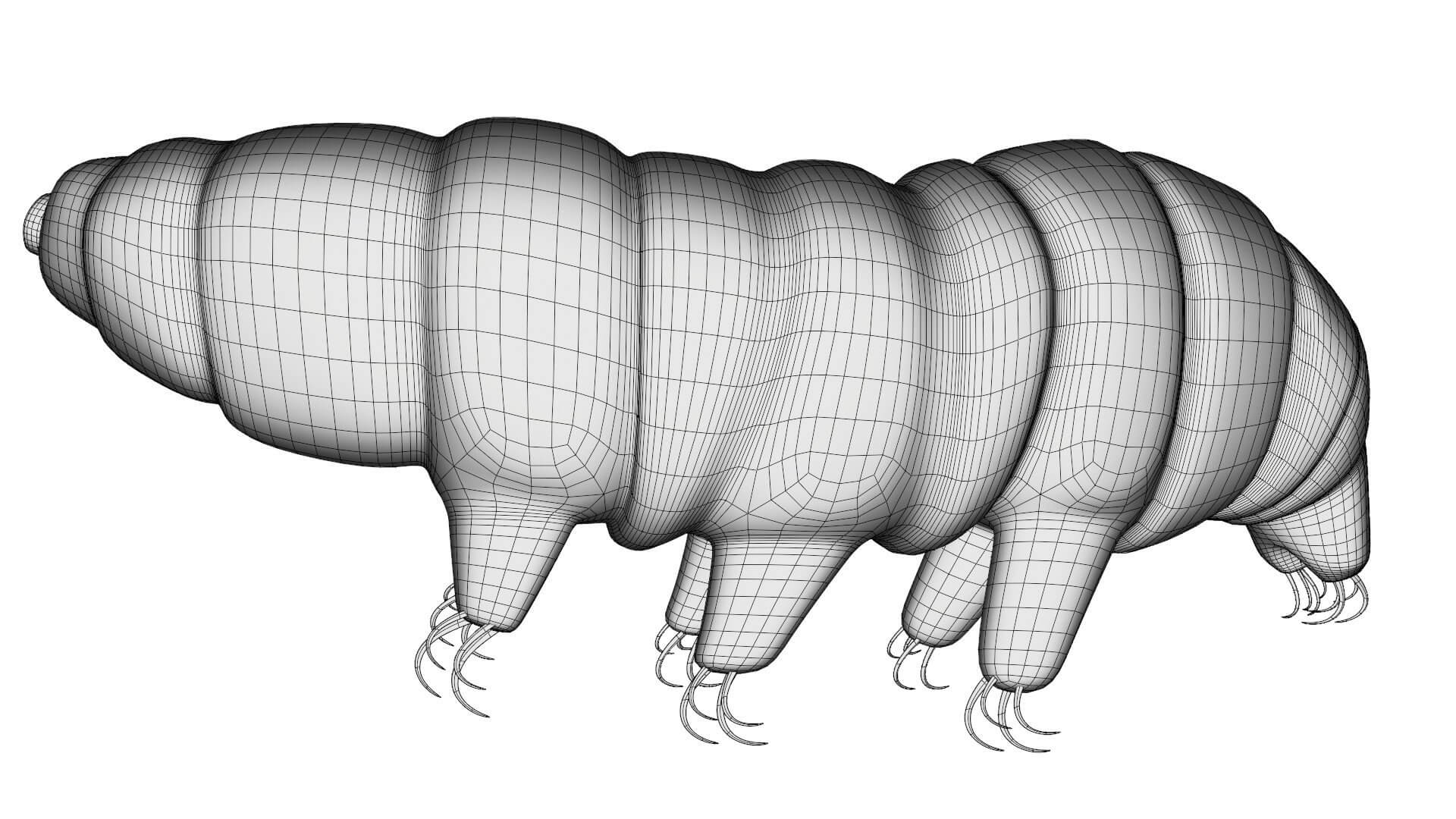 Tardigrade - 3D Model by Blenduffo