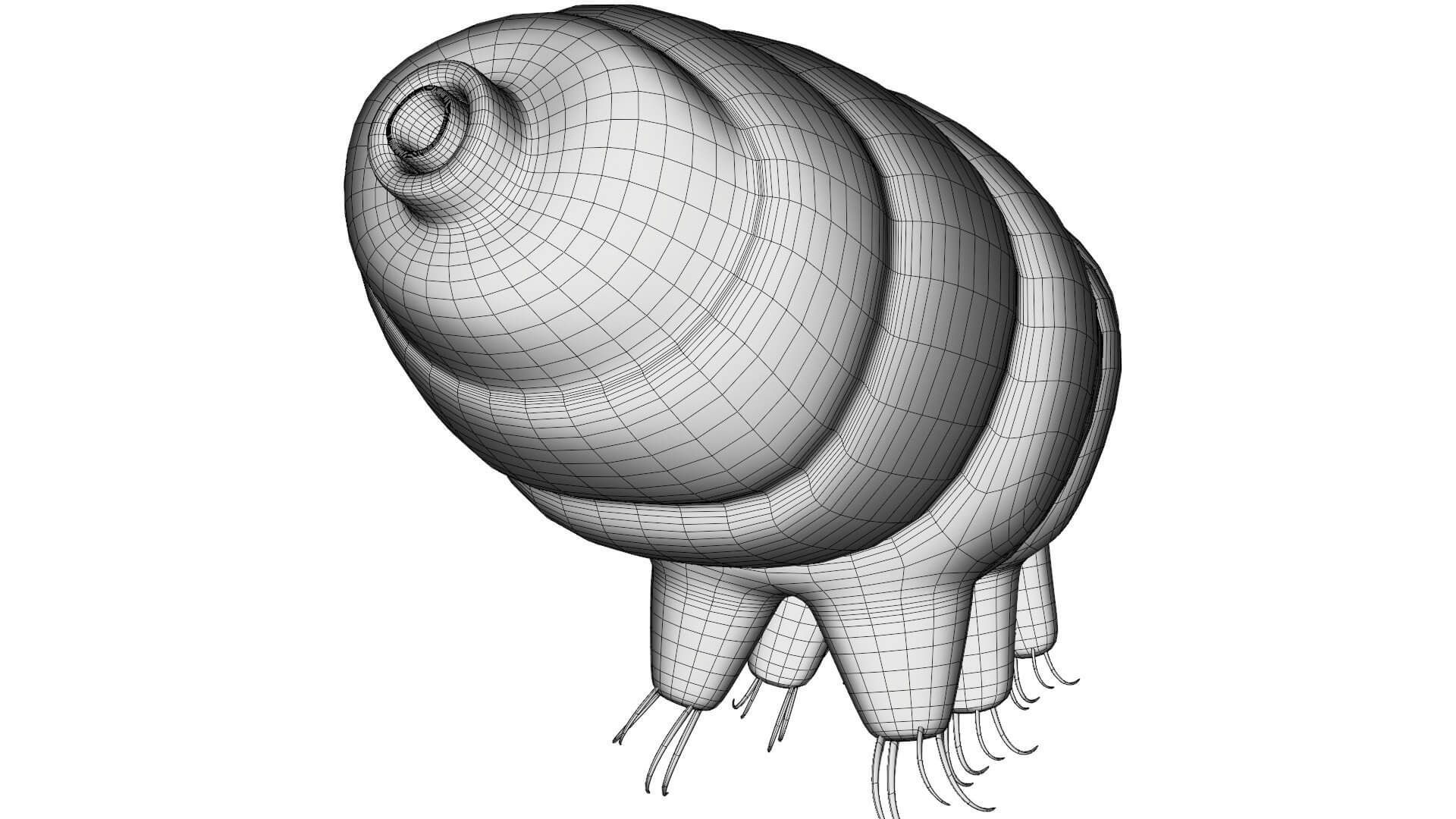 Tardigrade - 3D Model by Blenduffo