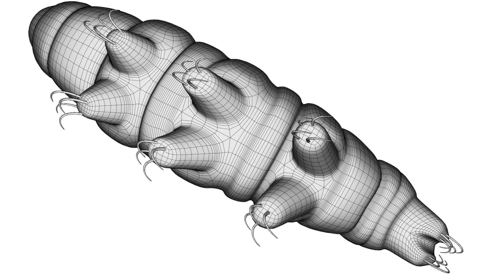 Tardigrade - 3D Model by Blenduffo