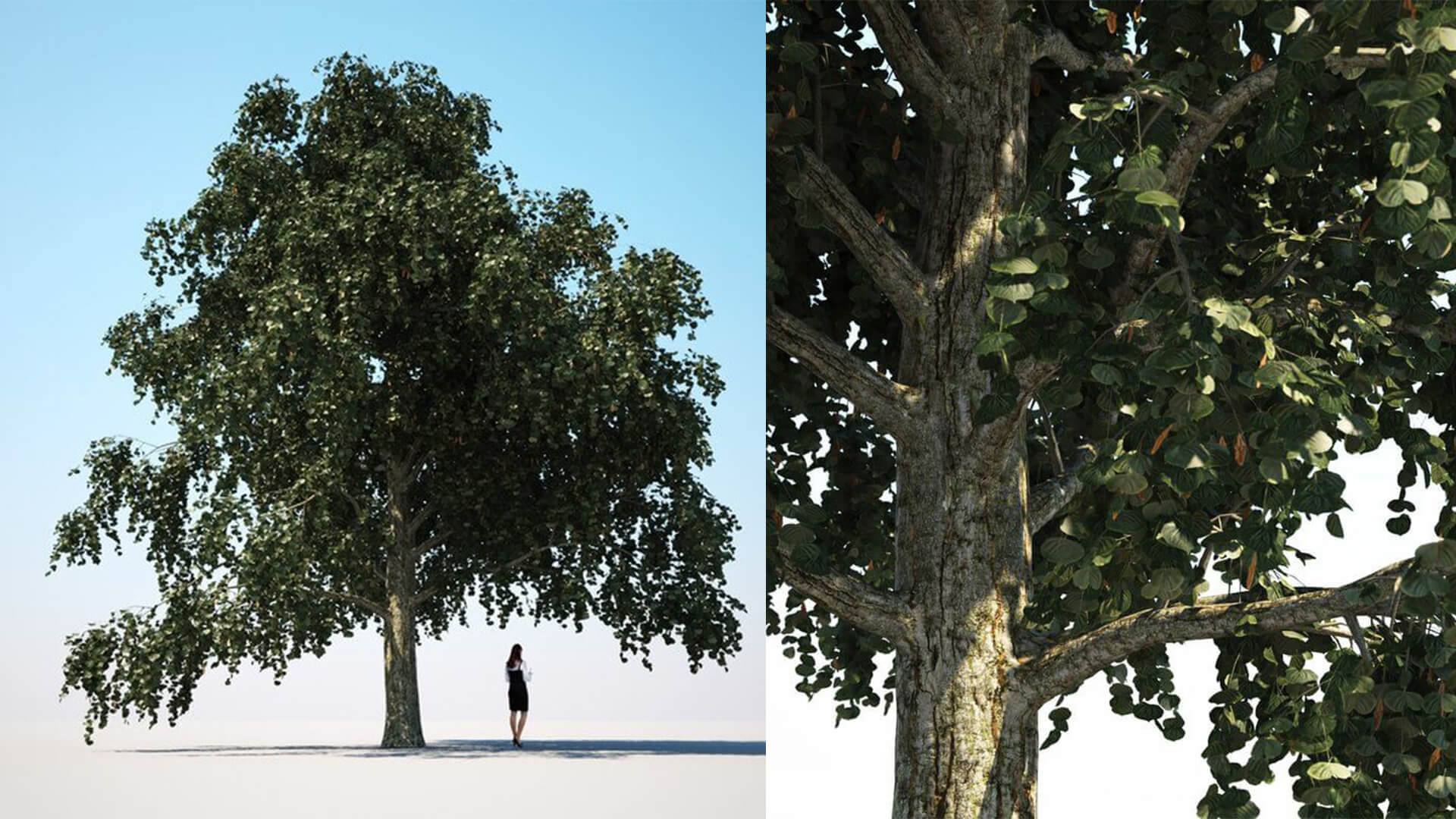 The Art of Realistic Vegetation: Techniques, Tools, and Optimization