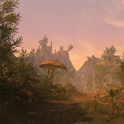 Interview with Skywind Project's 3D Lead on the Team's Massive Contribution