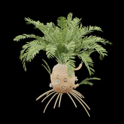 Cycadeoides Plant - 3D Model by BotaniCraft3D