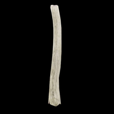 Fallen Tree Log - 3D Model by BotaniCraft3D
