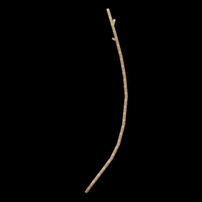 Fallen Tree Twig - 3D Model by BotaniCraft3D