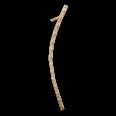Fallen Tree Twig - 3D Model by BotaniCraft3D