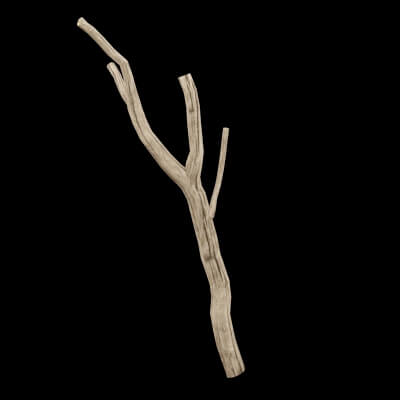 Fallen Wood Branch - 3D Model by BotaniCraft3D