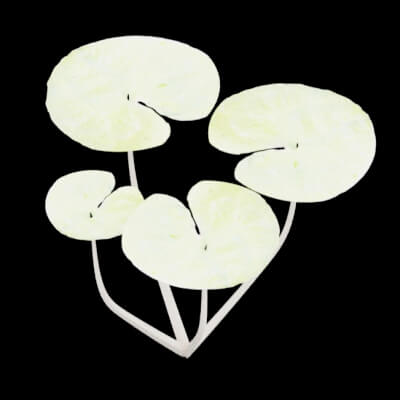 Floating Frogbit - 3D Model by BotaniCraft3D