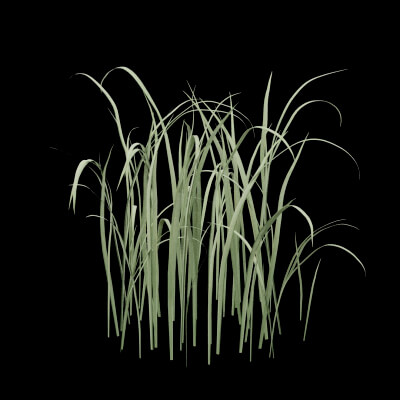 Grass Patch Plant - 3D Model by BotaniCraft3D
