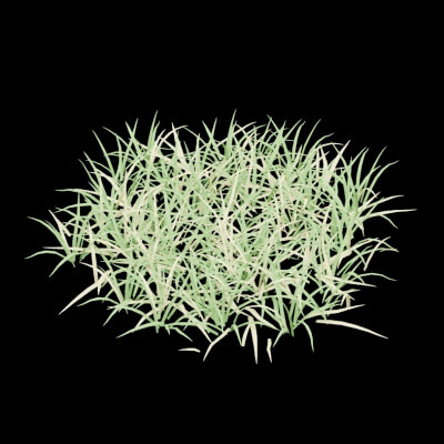 Grass Patch Plant - 3D Model by BotaniCraft3D