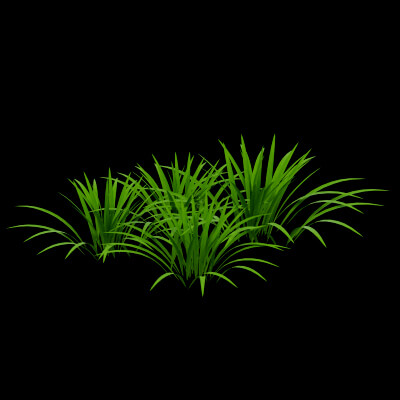 Grass Patch Plant - 3D Model by BotaniCraft3D