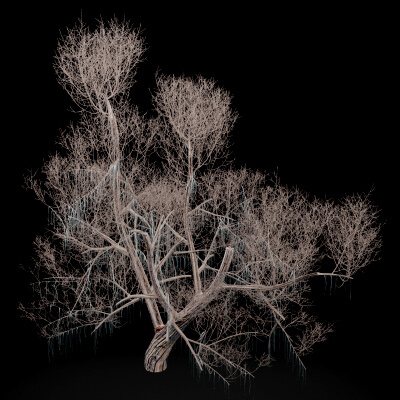 3D Models | Plants | Pine Trees | RenderHub