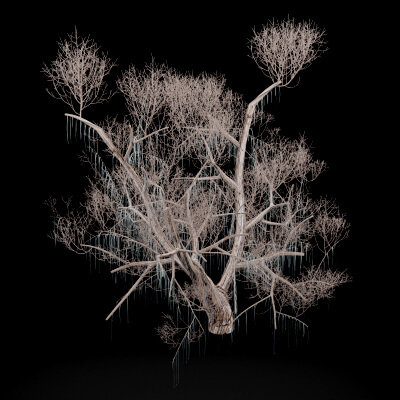 3D Models | Plants | Pine Trees | RenderHub