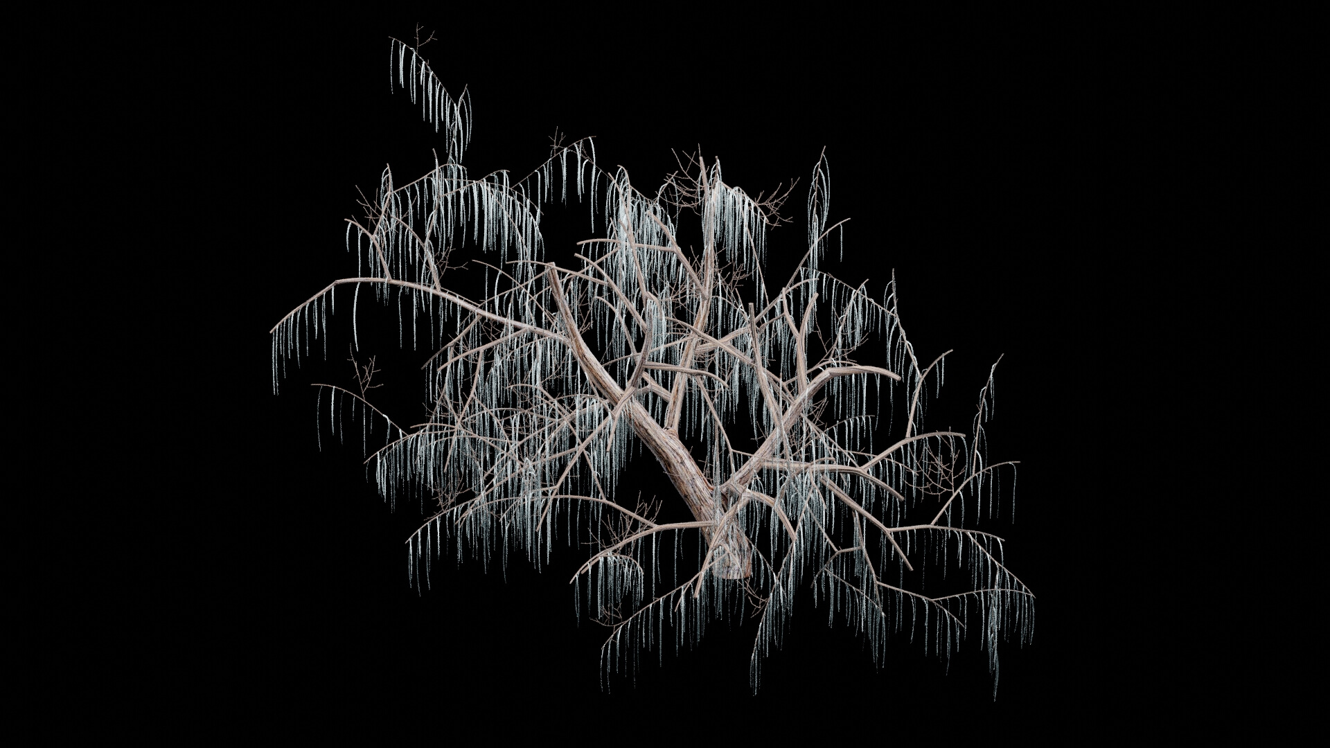 Ice Pine Tree - 3D Model by BotaniCraft3D