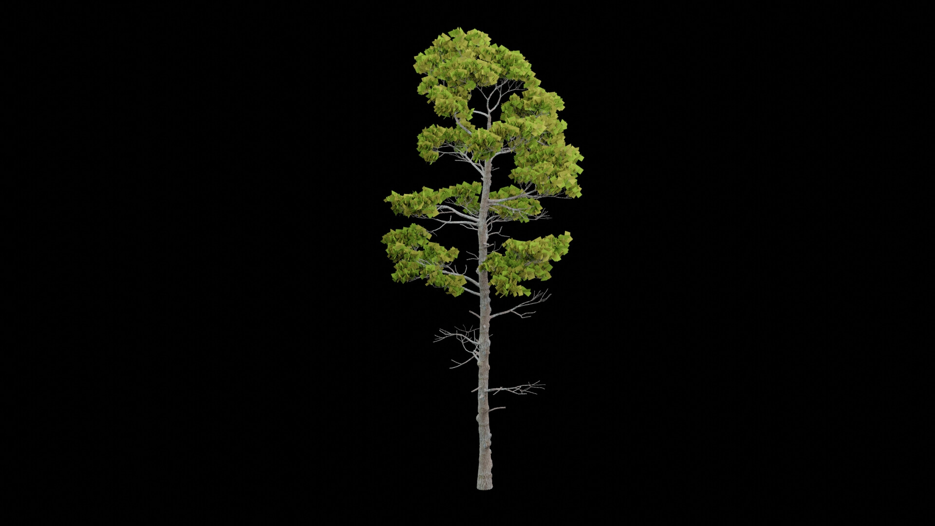 Pine Tree with Leaves - 3D Model by BotaniCraft3D