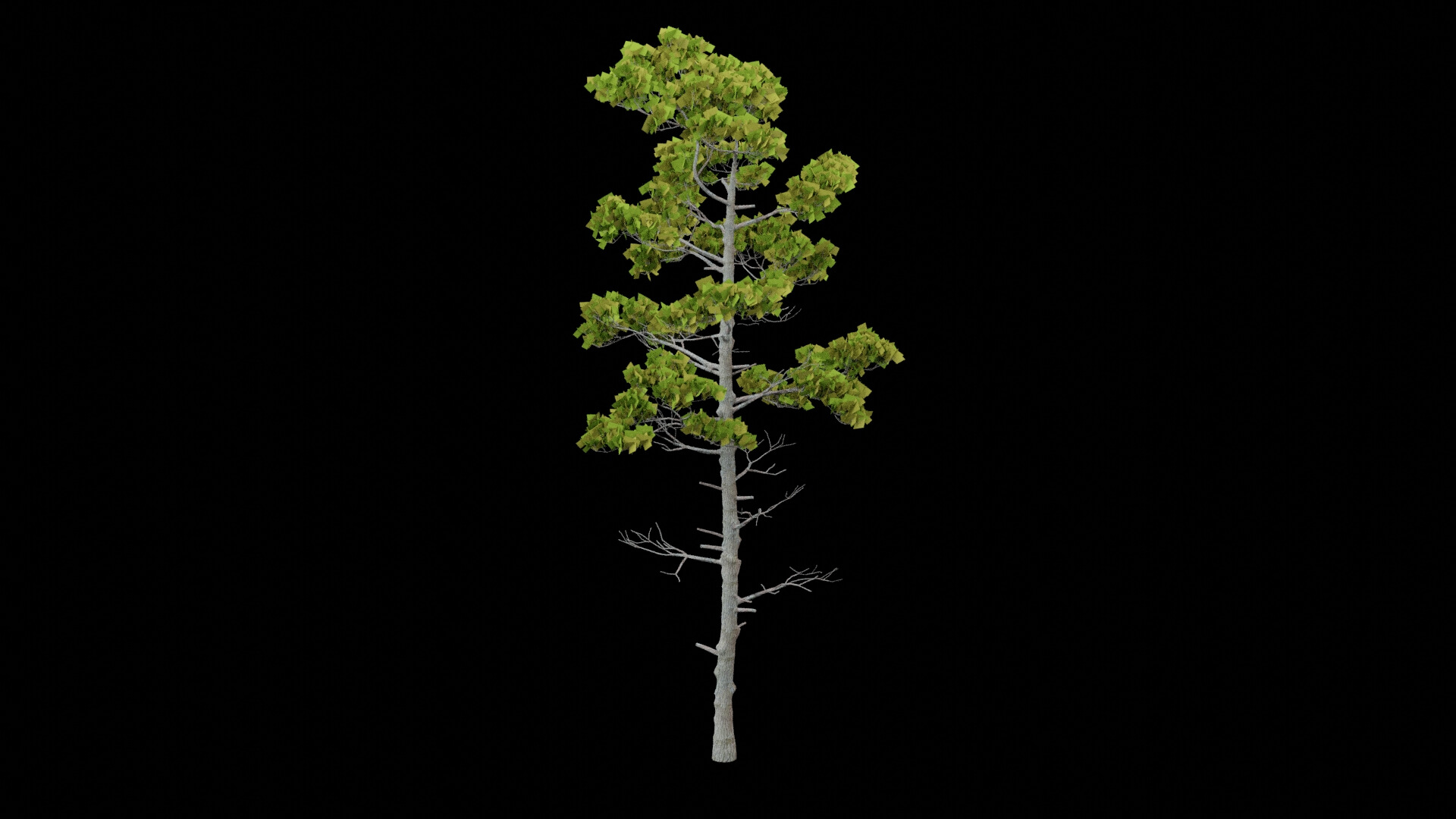 Pine Tree with Leaves - 3D Model by BotaniCraft3D