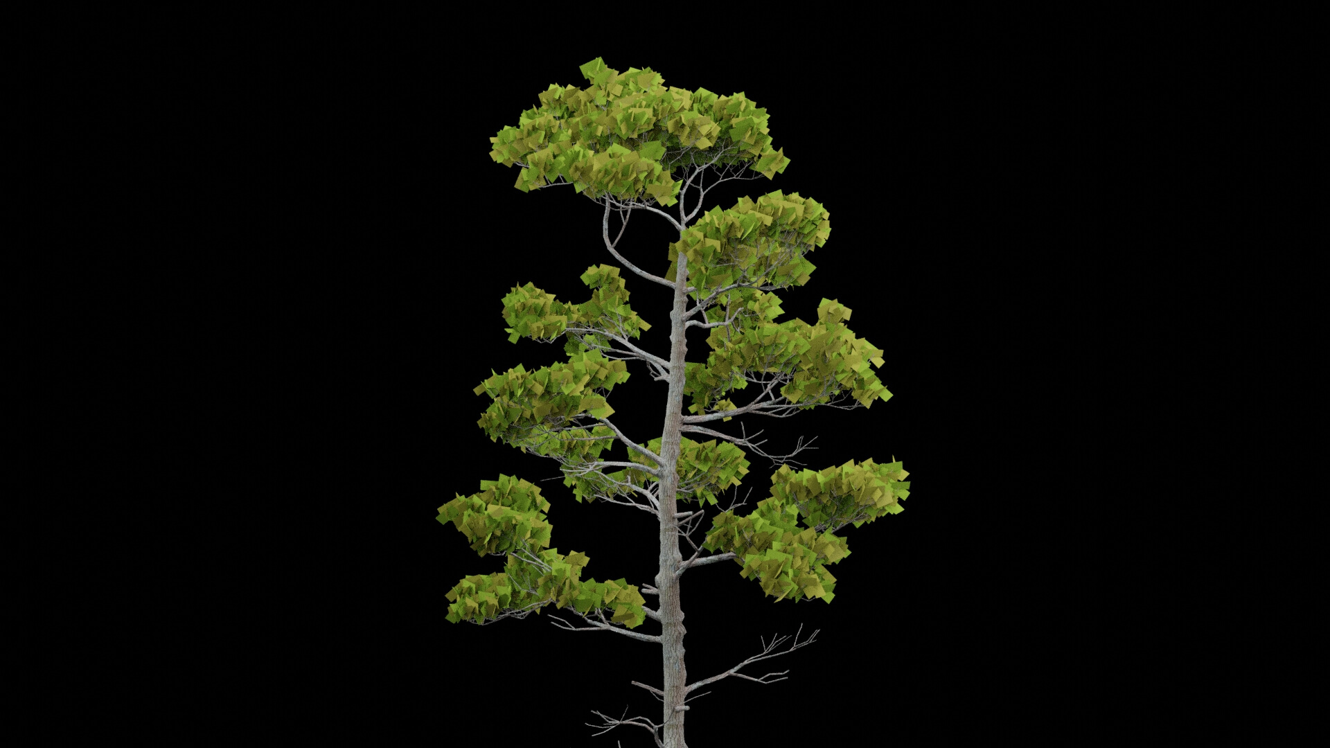 Pine Tree with Leaves - 3D Model by BotaniCraft3D