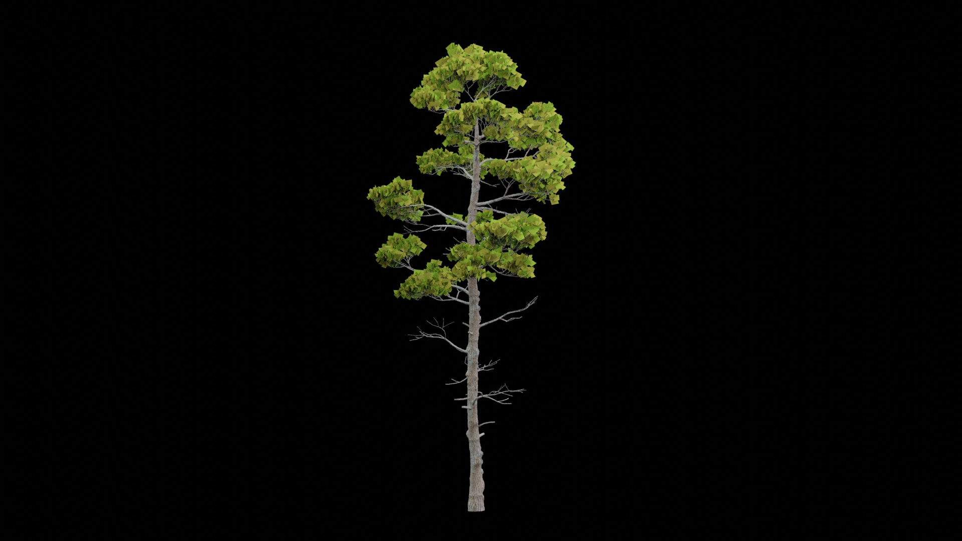 Pine Tree with Leaves - 3D Model by BotaniCraft3D