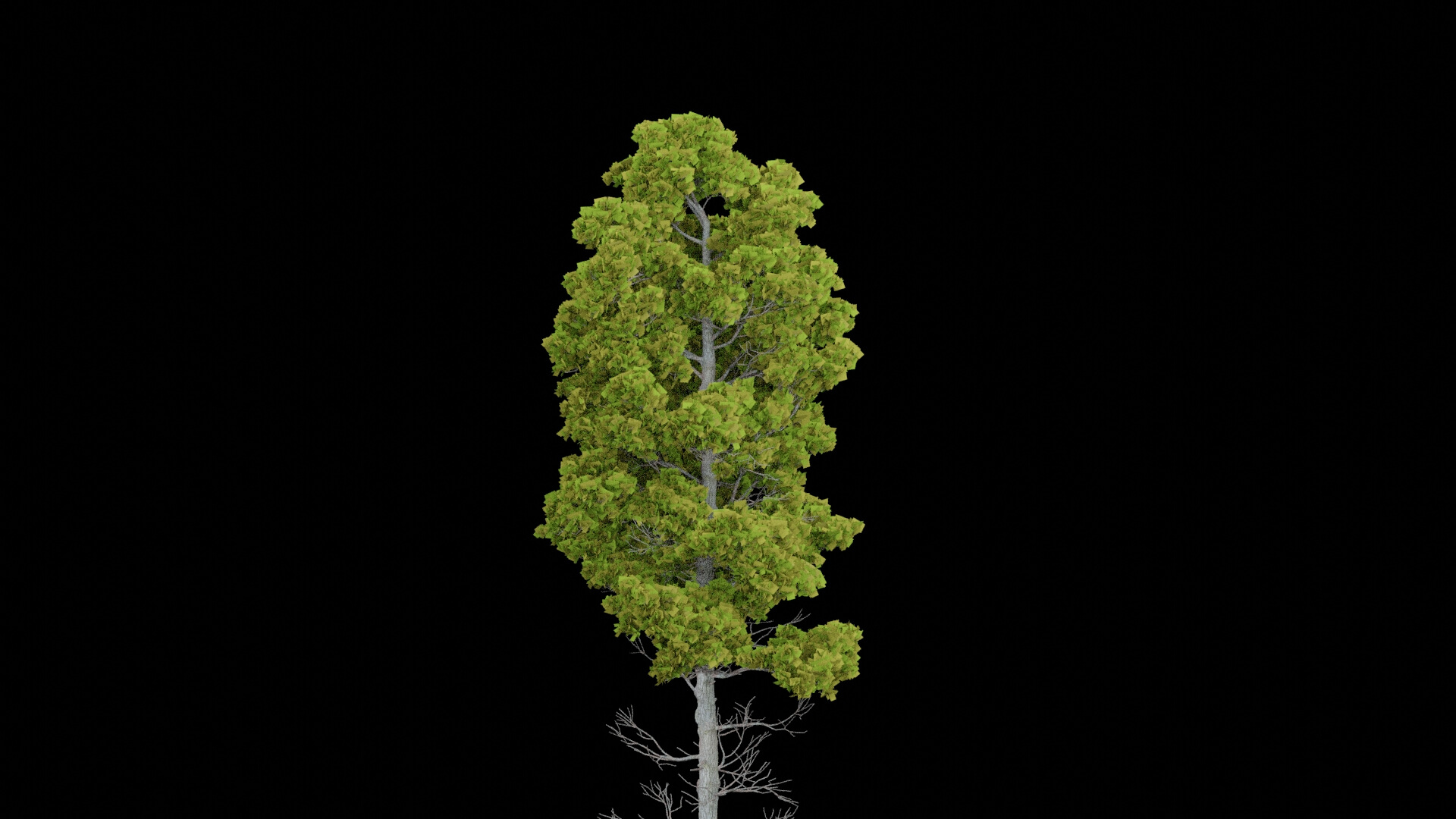 Pine Tree With Leaves - 3D Model by BotaniCraft3D