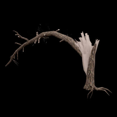 Realistic Dead Tree - 3D Model by BotaniCraft3D