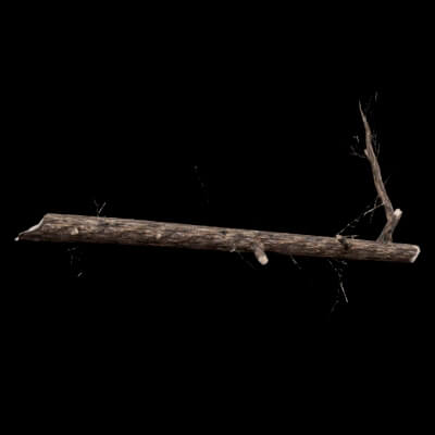 Realistic Dead Tree - 3D Model by BotaniCraft3D