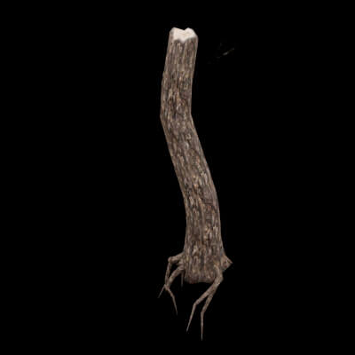 Realistic Dead Tree - 3D Model by BotaniCraft3D