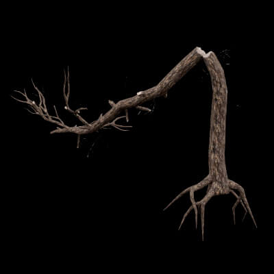Realistic Dead Tree - 3D Model by BotaniCraft3D