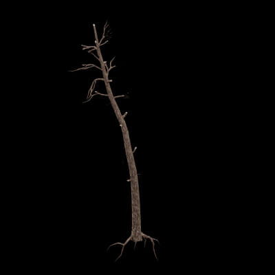 Realistic Dead Tree - 3D Model by BotaniCraft3D
