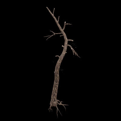 Realistic Dead Tree - 3D Model by BotaniCraft3D