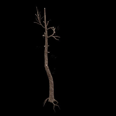 Realistic Dead Tree - 3D Model by BotaniCraft3D
