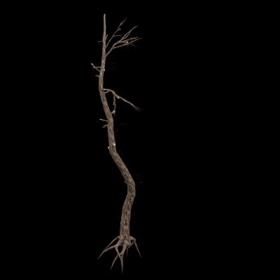 Realistic Dead Tree - 3D Model by BotaniCraft3D