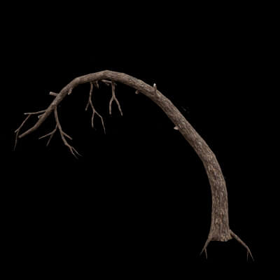 Realistic Dead Tree - 3D Model by BotaniCraft3D