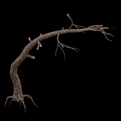Realistic Dead Tree - 3D Model by BotaniCraft3D