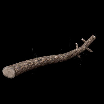 Realistic Dead Tree - 3D Model by BotaniCraft3D