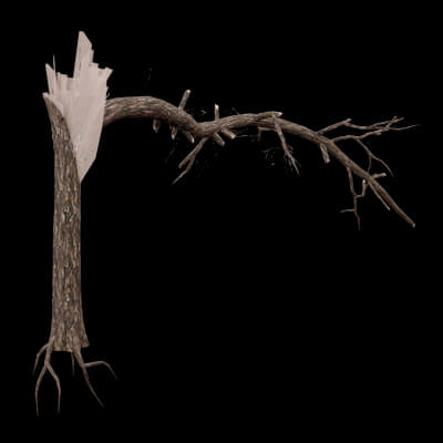 Realistic Dead Tree - 3D Model by BotaniCraft3D