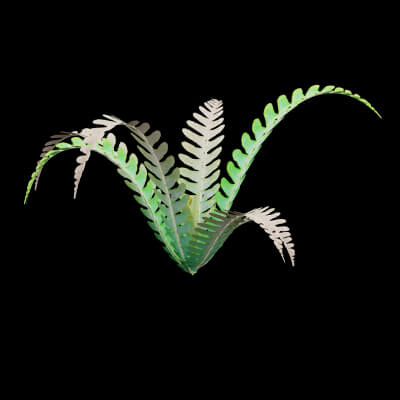 Realistic Fern Plant - 3D Model by BotaniCraft3D