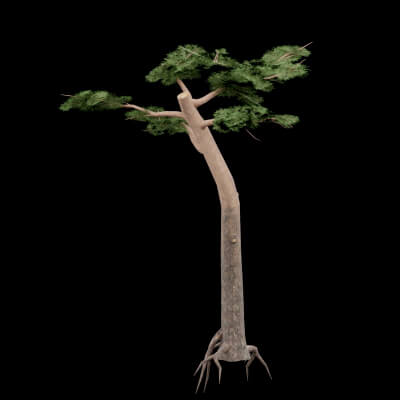 Realistic Tree - 3D Model by BotaniCraft3D