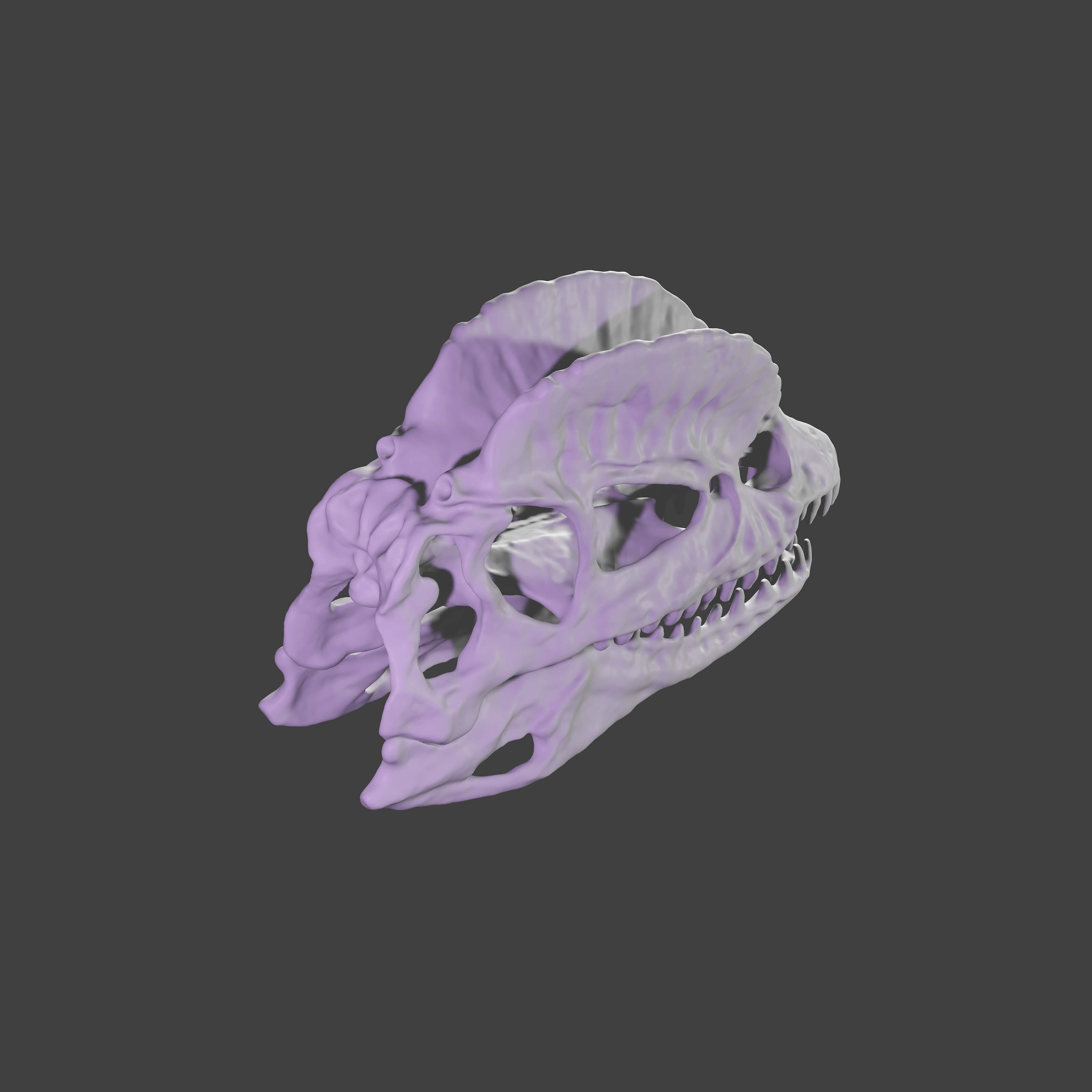 Dyno Jaw Skull - 3D Model by bpanch