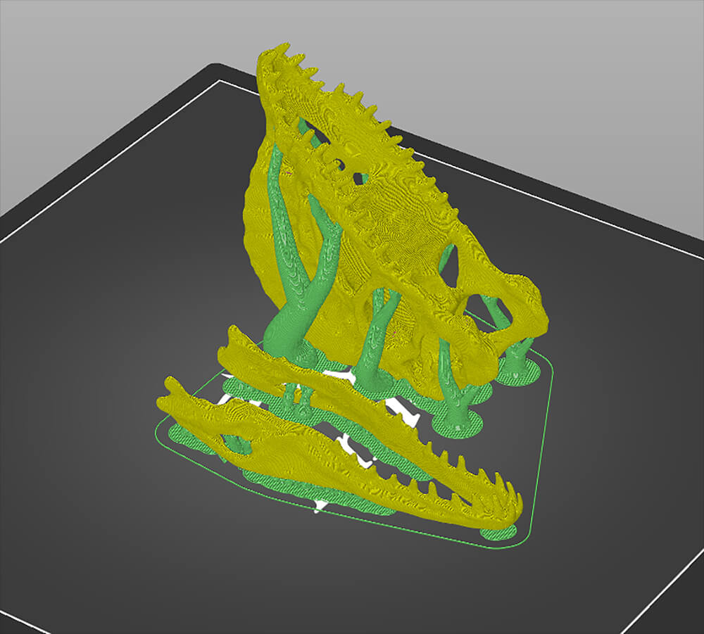 Dyno Jaw Skull - 3D Model by bpanch