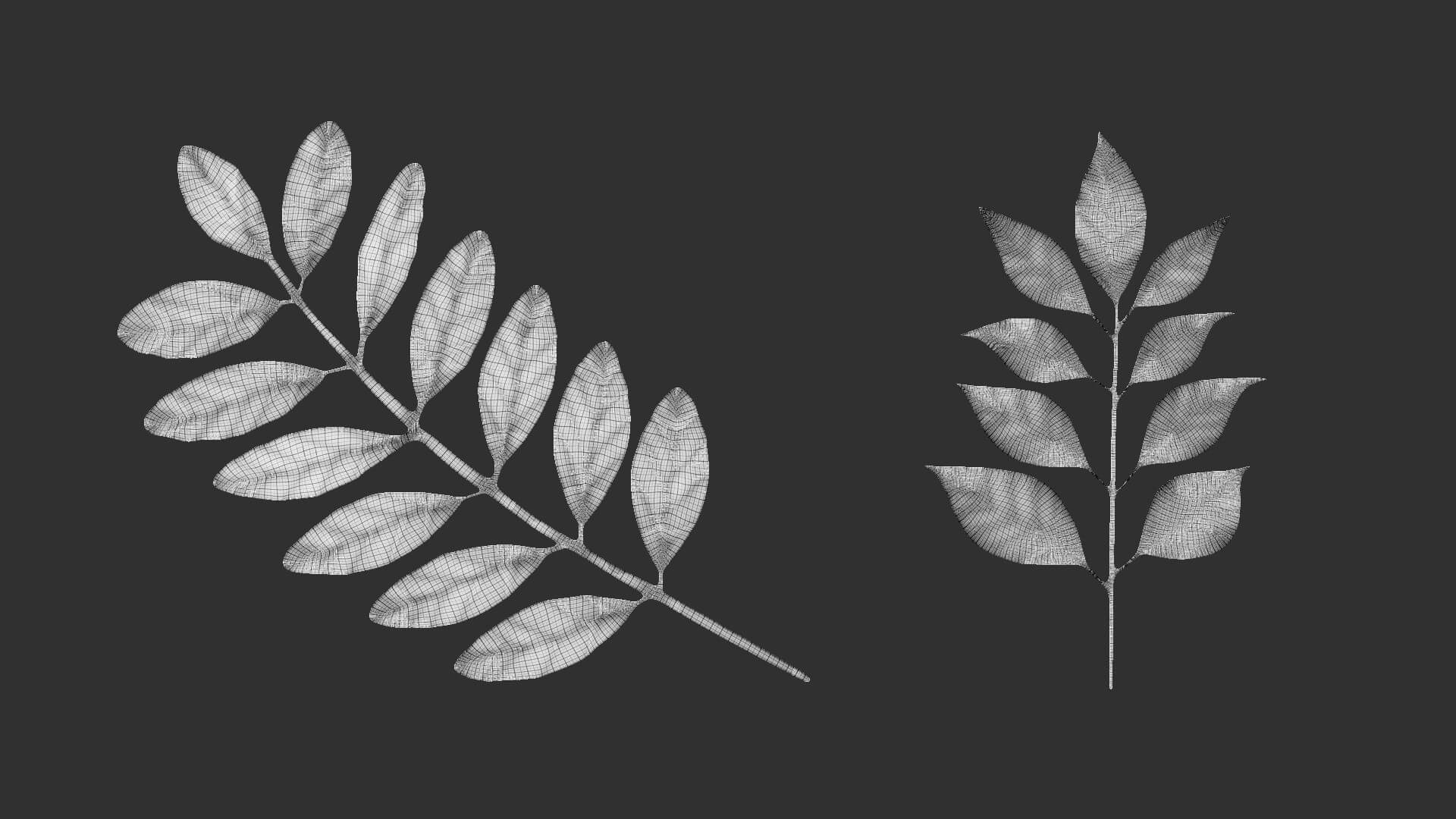 14 High-Poly Leafs and Branches Zbrush IMM Brush Set 3D Model by ...