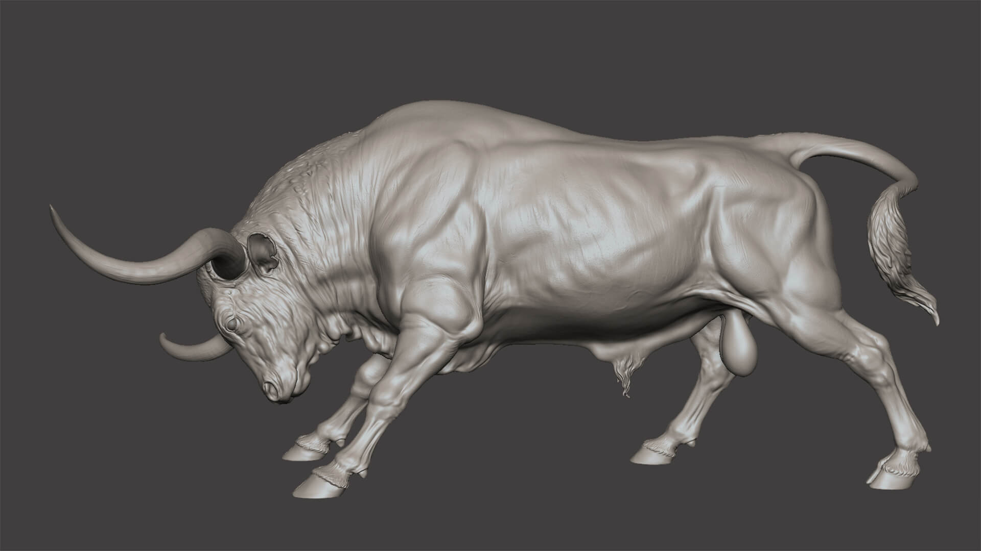 Bull - Texas Longhorn - 3D Sculpting 3D Print Model by BreathTime