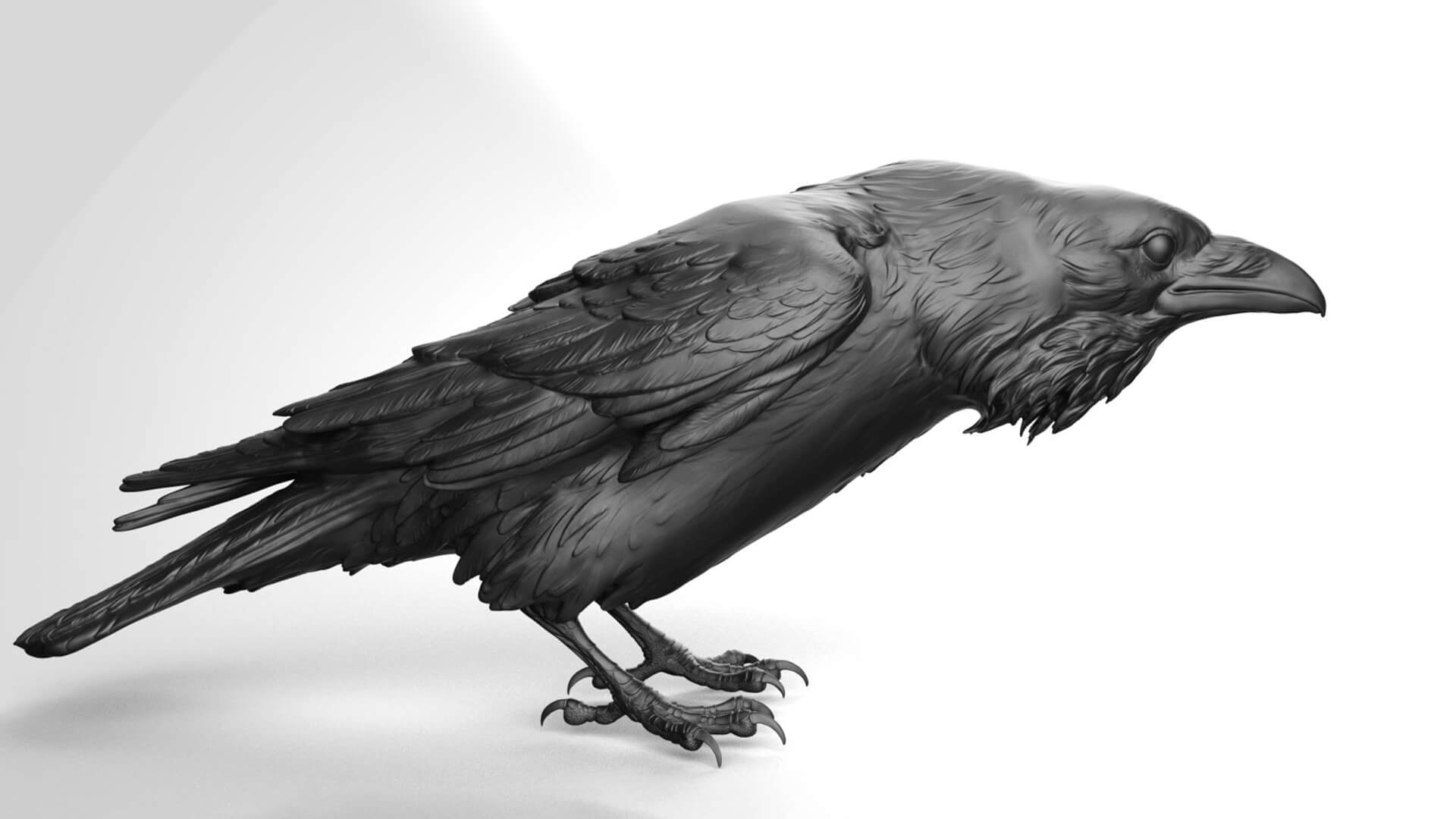 Crow - 3D Sculpting by BreathTime