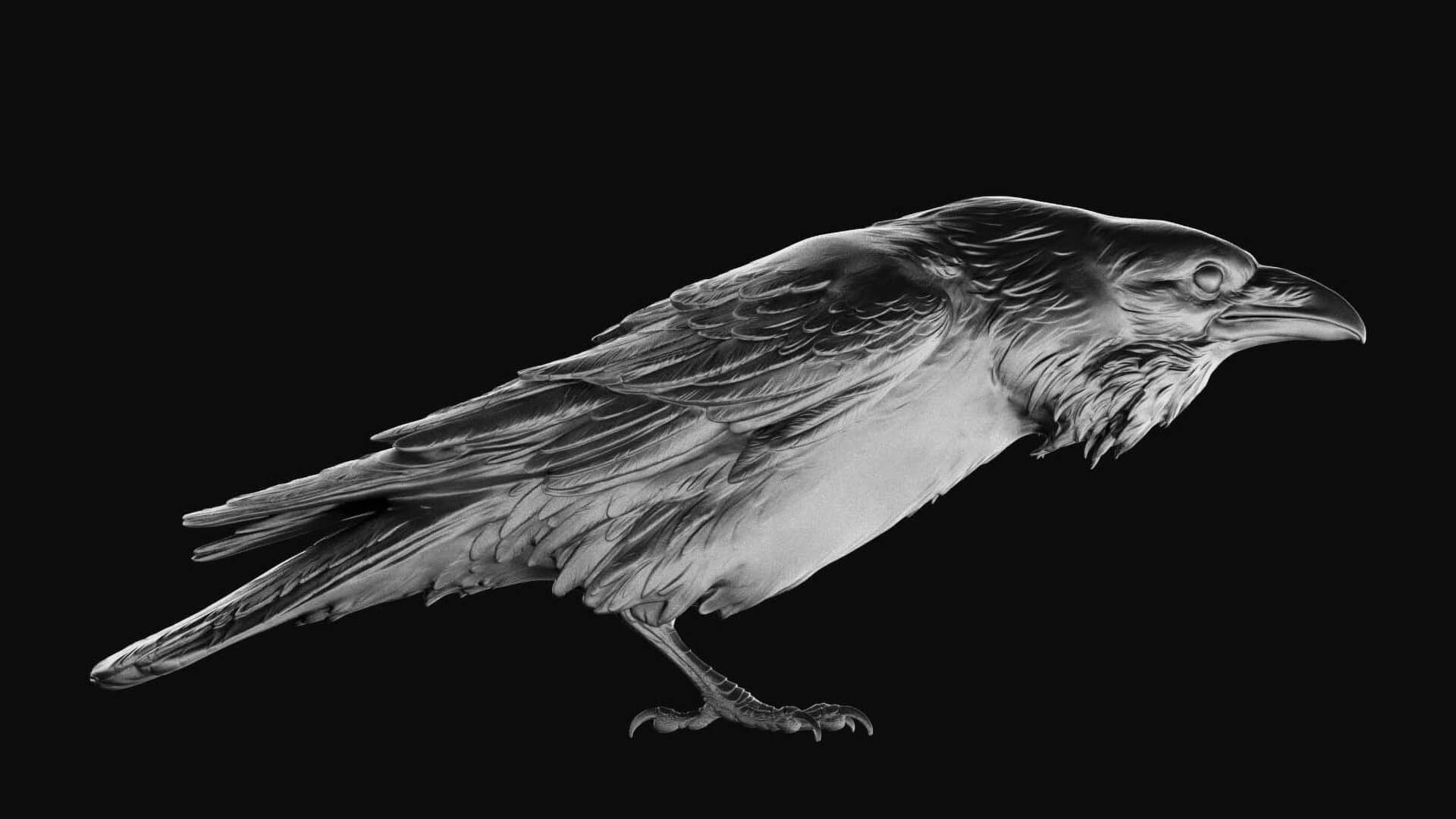 Crow - 3D Sculpting by BreathTime