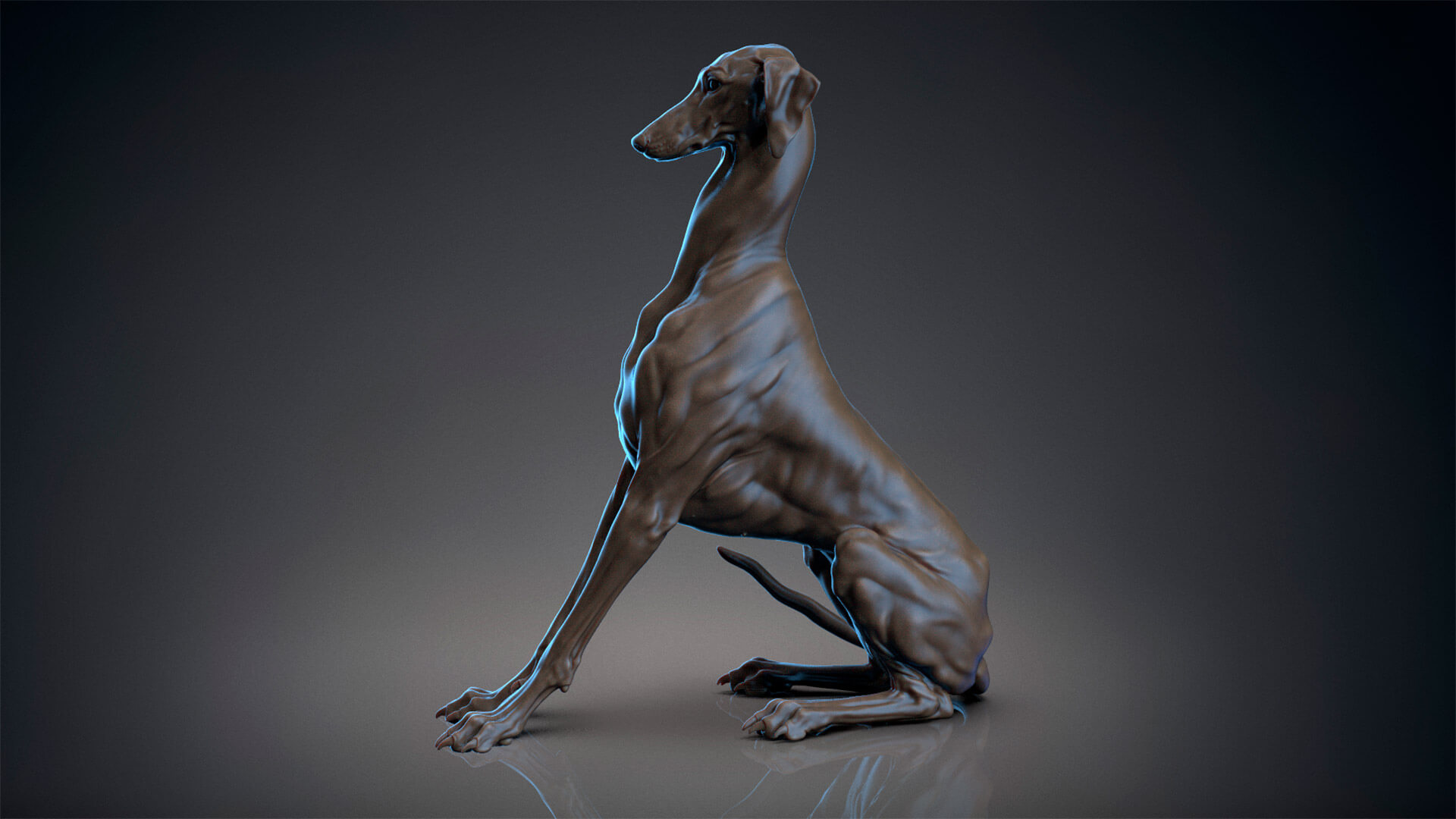 Dog Azawakh Symmetry - 3D Sculpting by BreathTime