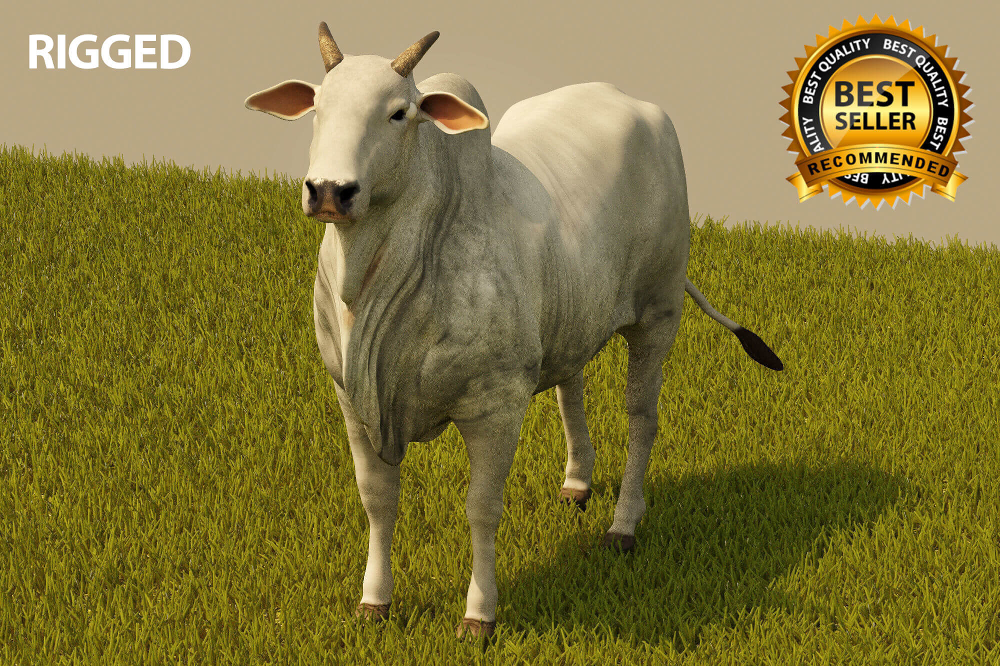 Cattle 3D Model by brunonunesdp
